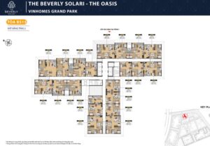 Mặt bằng The Beverly Solari - Mặt bằng layout chi tiết